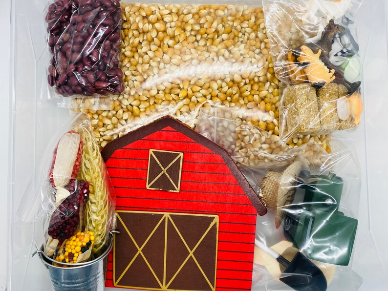 Farm Sensory Bin Farm Animals Barnyard Animals Farming | Etsy