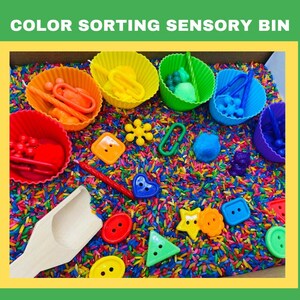 Color Sorting Sensory Bin | Rainbow Colors Sensory | Color Matching ...