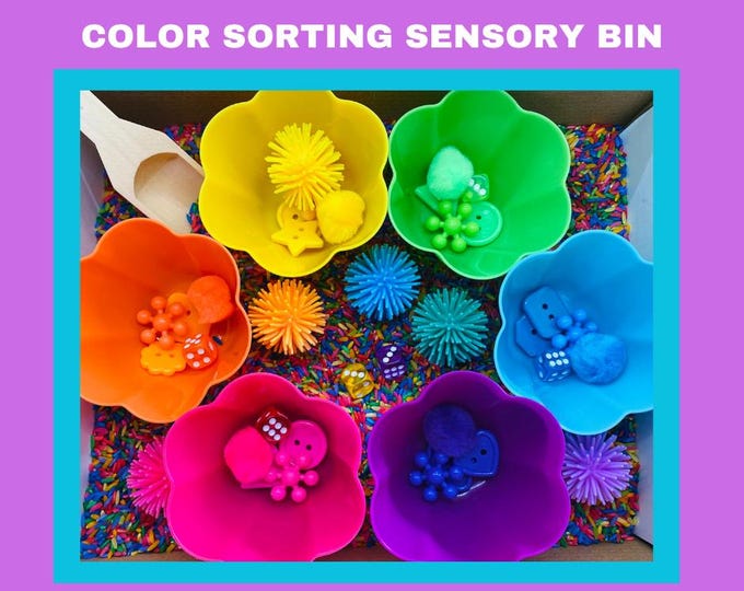 Color Sorting Sensory Bin | Rainbow Colors Sensory | Color Matching ...