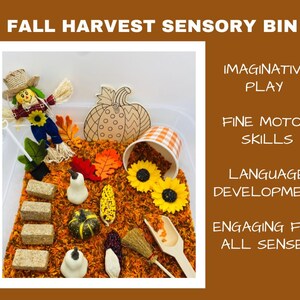 Fall Harvest Sensory Bin Farm Harvest Sensory Bin Autumn Sensory Fall ...