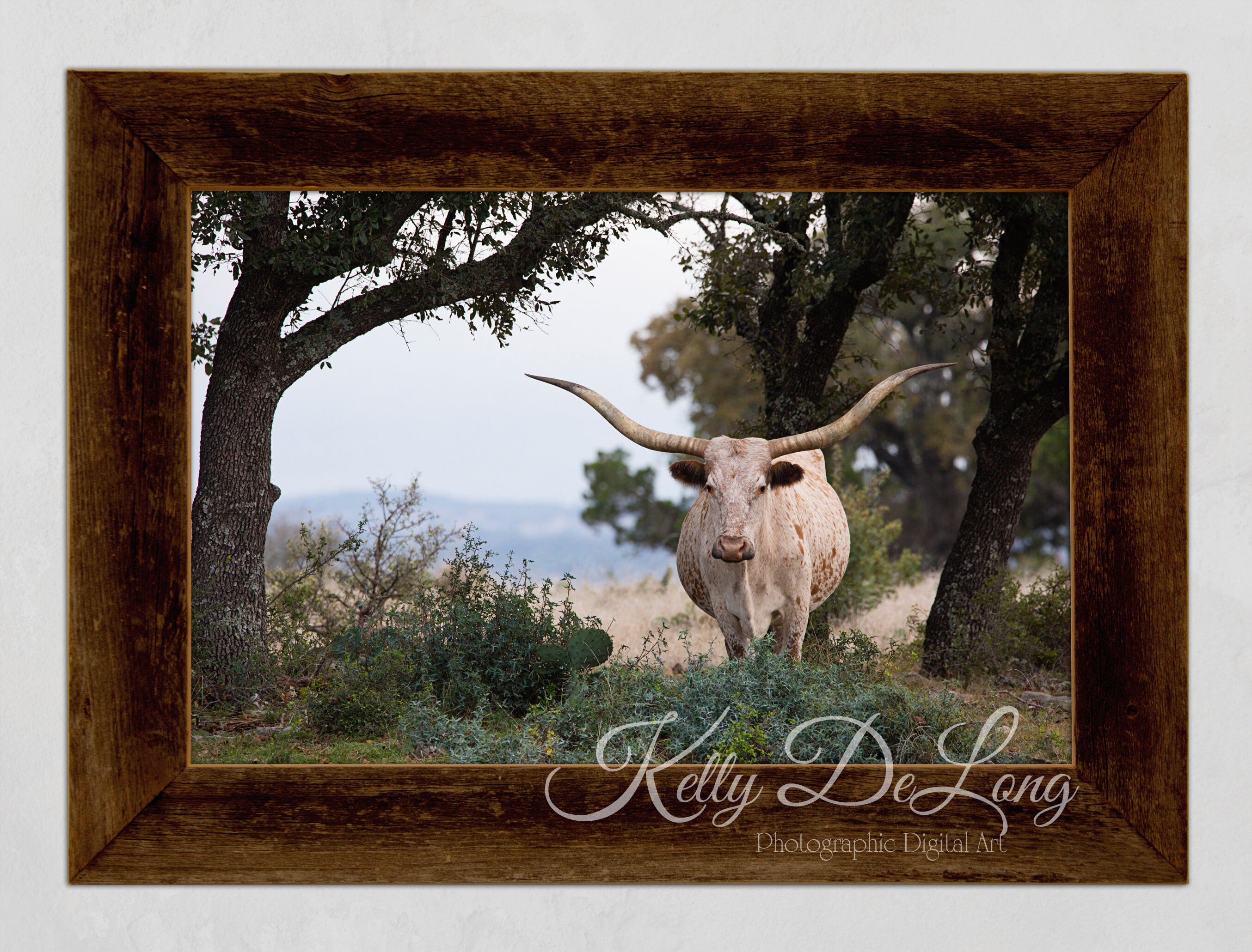 Texas Longhorn Photography Print, Canvas Wrap or Metal. Beautiful ...