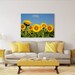Big, Beautiful Sunflowers, Art Print, Canvas Wrap or Metal Print ...