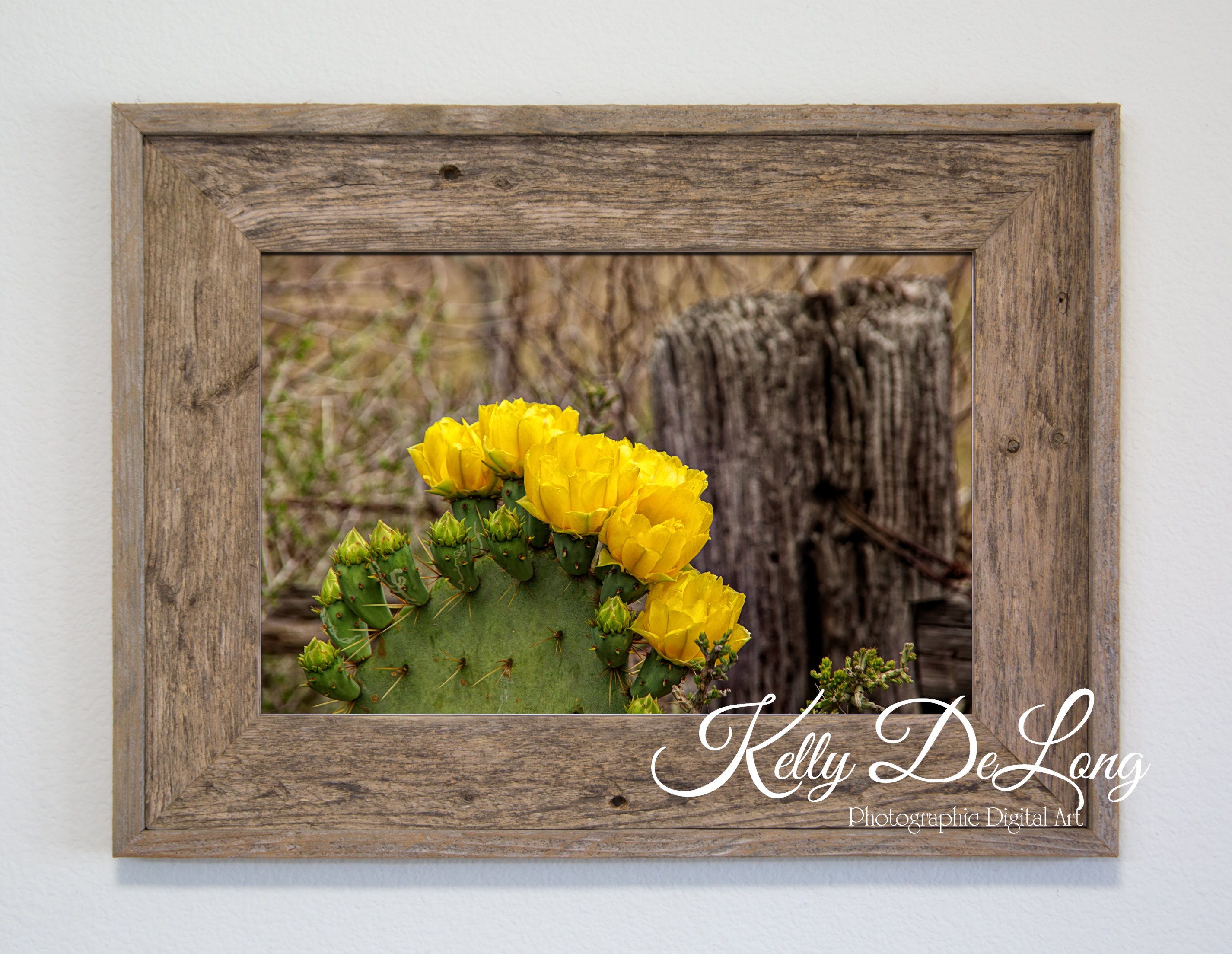 Vibrant Yellow Prickly Pear Cactus. Print, Canvas or Metal Perfect for ...