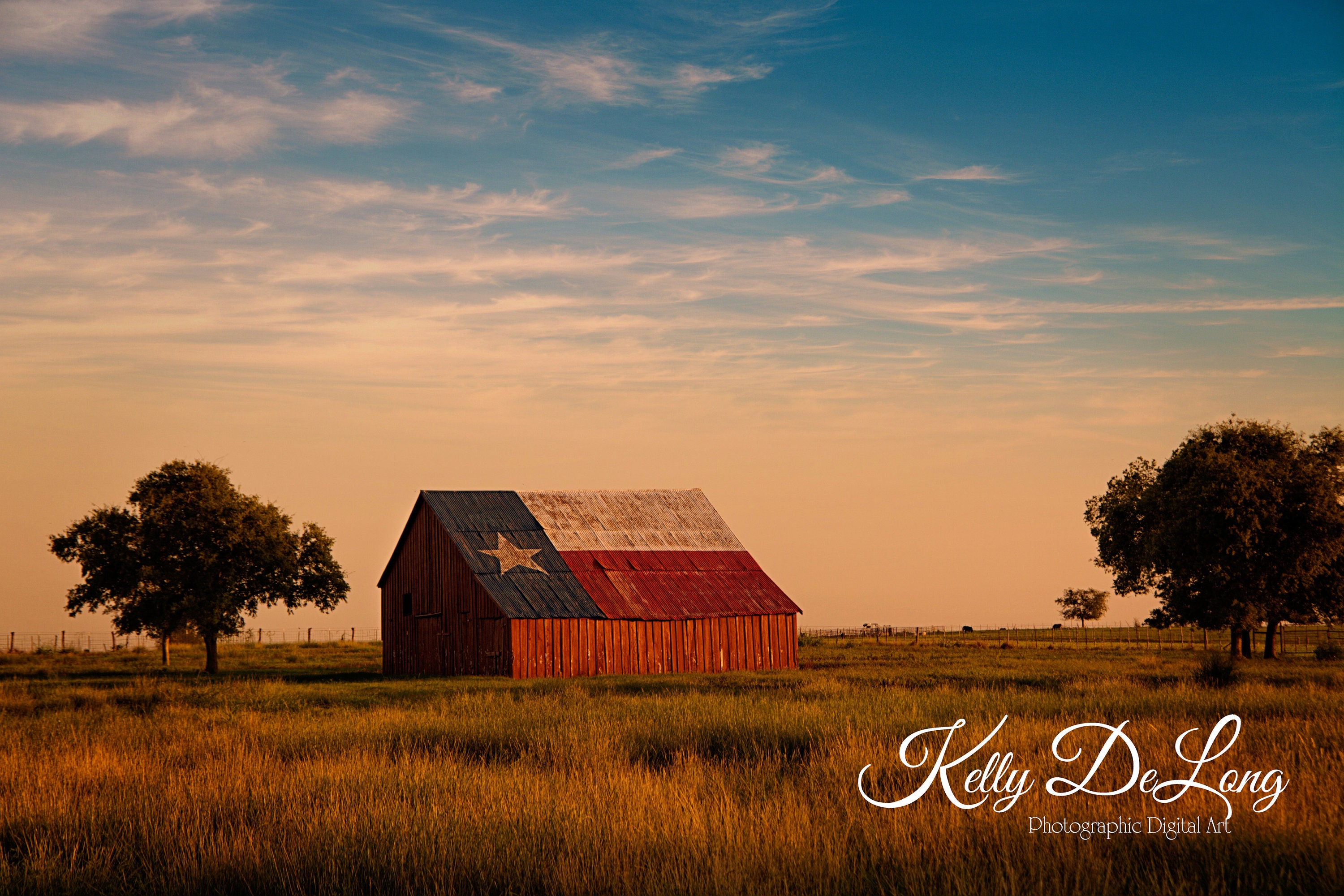 Rustic Texas Flag Barn. Texas Country at Its Best - Perfect for Country ...