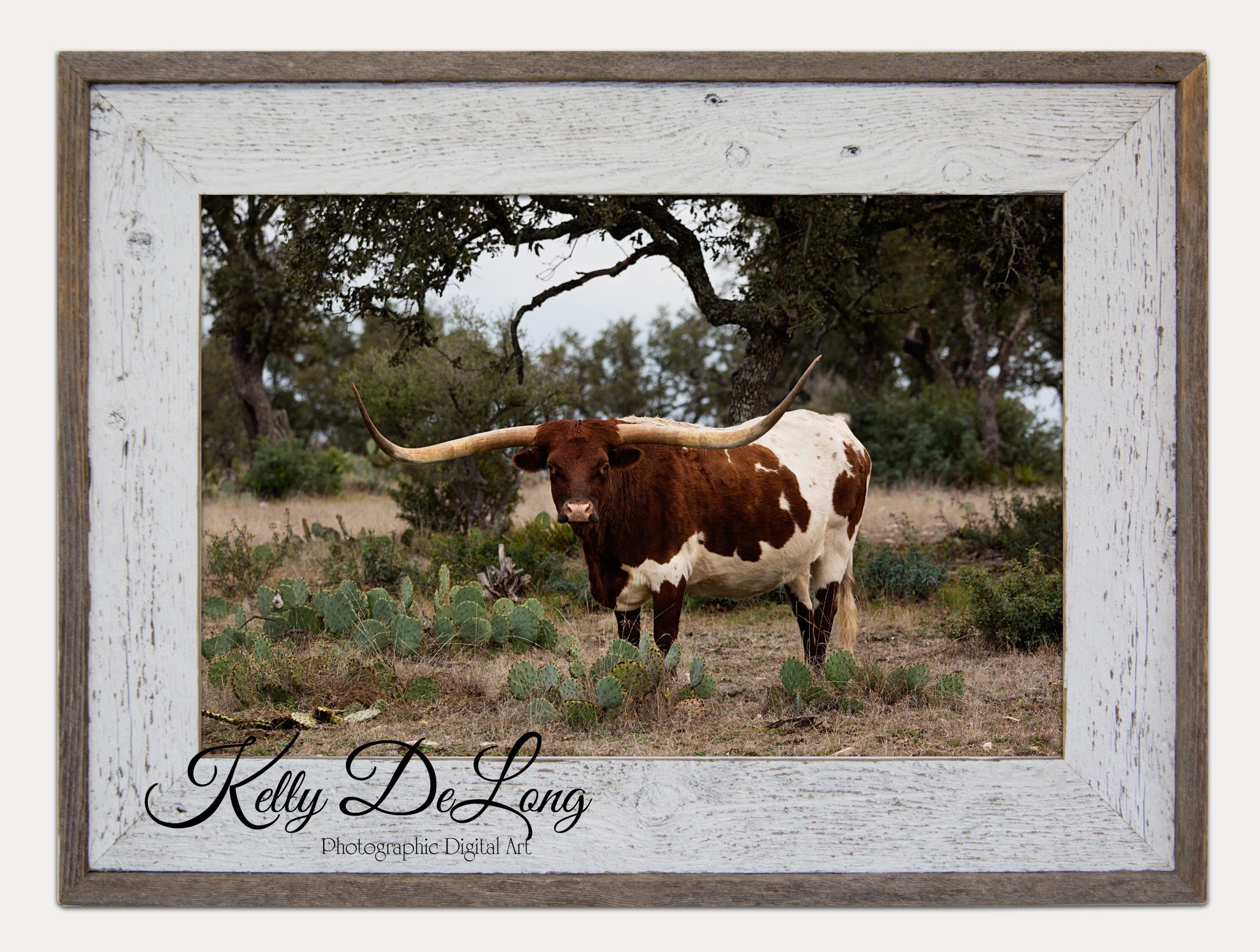 Texas Longhorn, Print, Canvas Wrap or Metal. Beautiful Neutral Colors ...