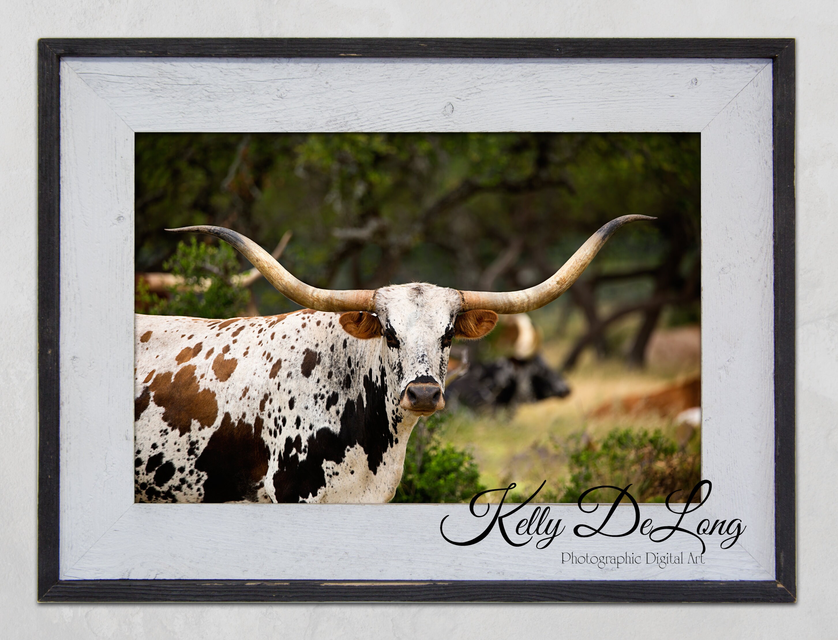 Texas Longhorn, Mounted Print, Canvas Wrap or Metal. Gorgeous Markings ...