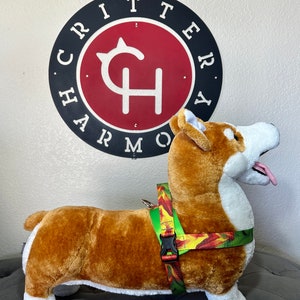 Custom Corgi Harness: Easy On, Reclaimed Seat Belt Webbing, USA Made - Etsy