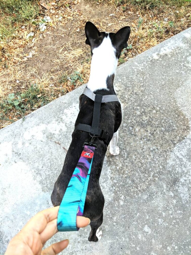 1" Dog Leash Tab: Handmade Traffic Lead, Safety Handle - Etsy