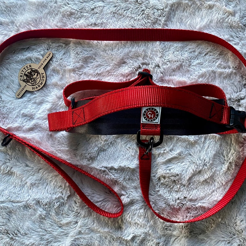 Y Harness Belt - Etsy