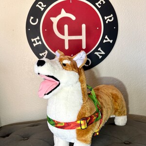 Custom Corgi Harness: Easy On, Reclaimed Seat Belt Webbing, USA Made - Etsy
