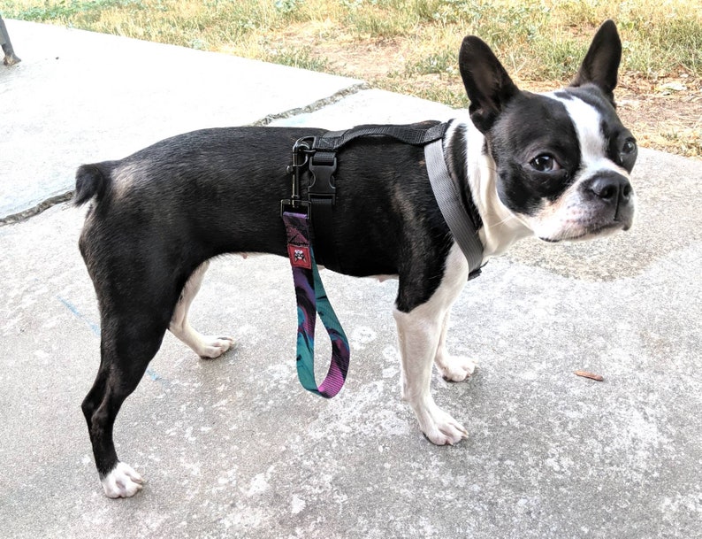1" Dog Leash Tab: Handmade Traffic Lead, Safety Handle - Etsy