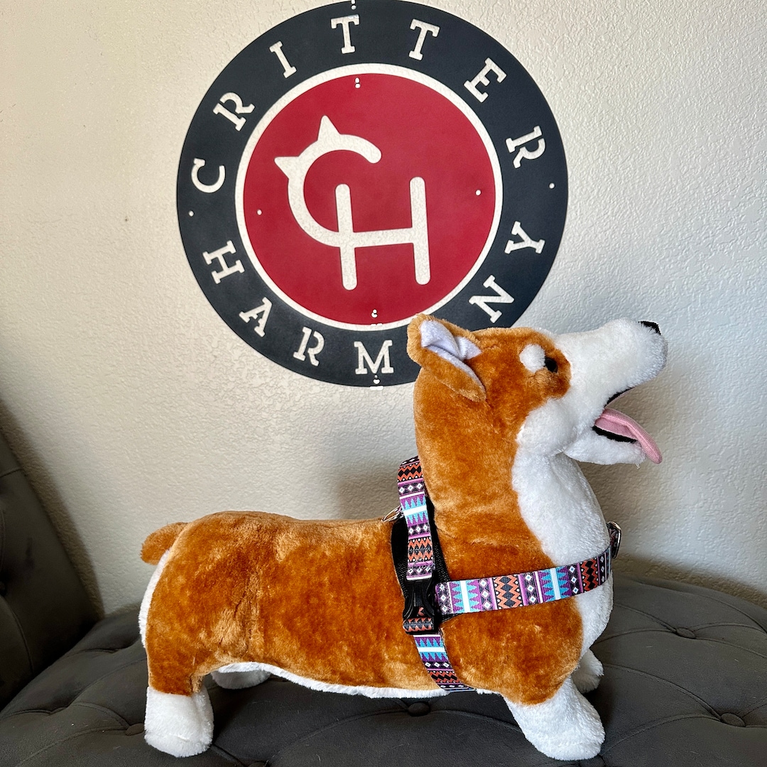 Custom Corgi Harness: Easy On, Reclaimed Seat Belt Webbing - Etsy