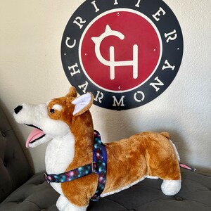 Custom Corgi Harness: Easy On, Reclaimed Seat Belt Webbing, USA Made - Etsy