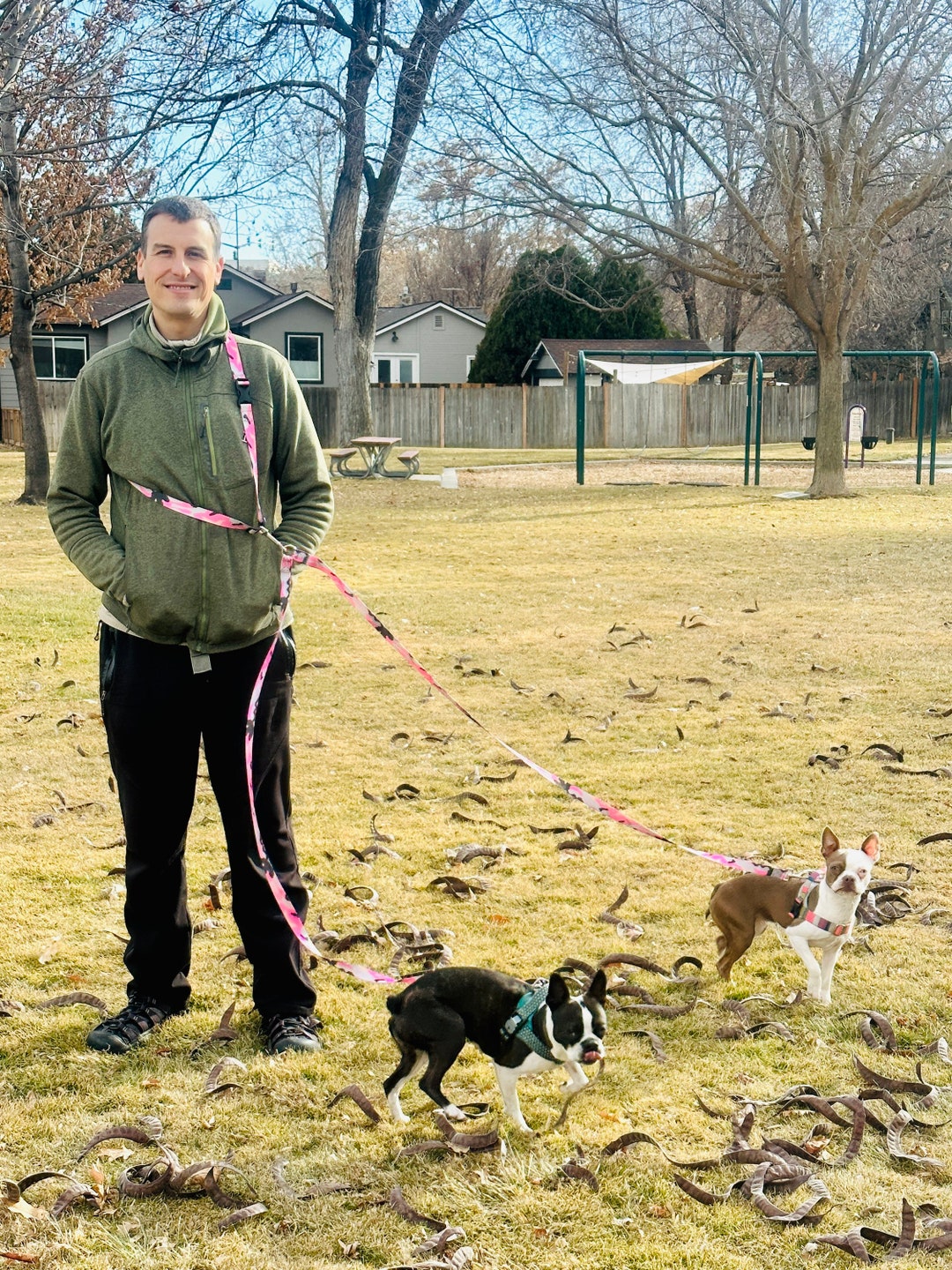 1” Tandem Dog Leash System, Multi Dog Leash, Hands Free/handle Option ...