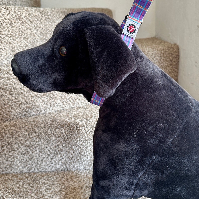 Unique Dog Collar - Etsy