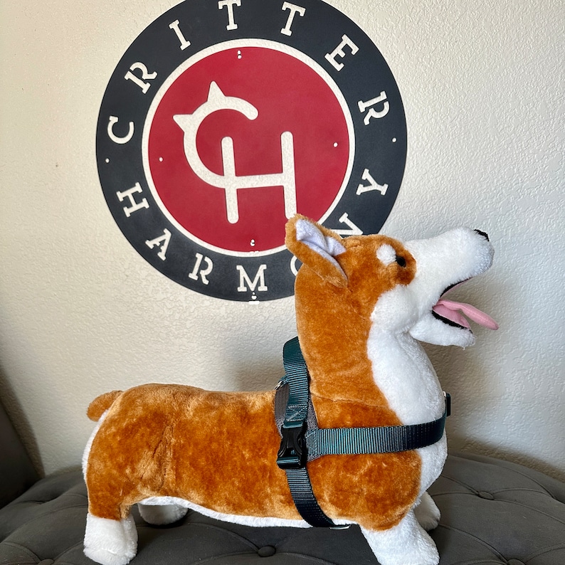 Custom Corgi Harness: Handmade USA Nylon & Reclaimed Seat Belt Webbing ...