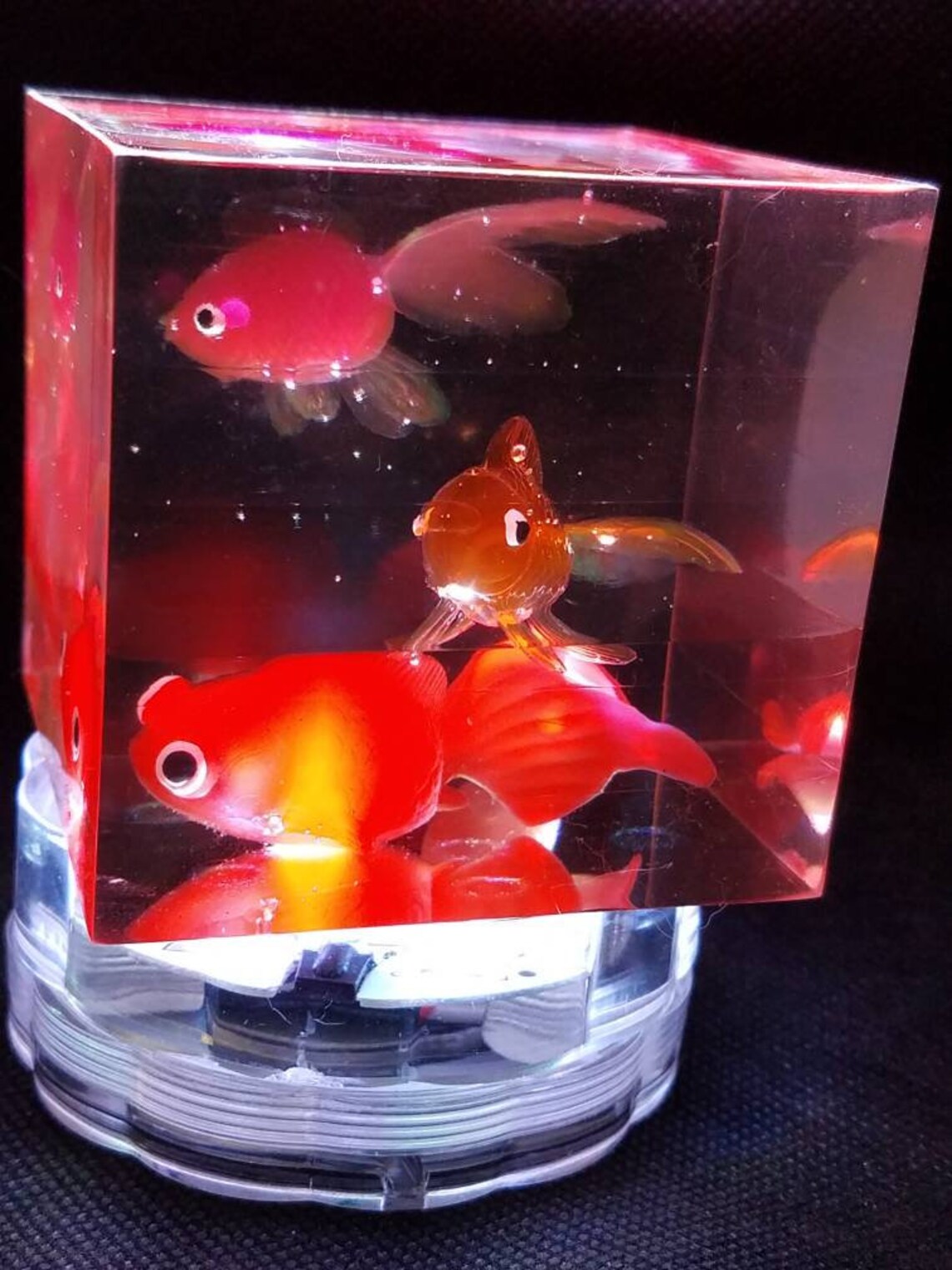 Goldfish lamp with battery powered base and remote control | Etsy