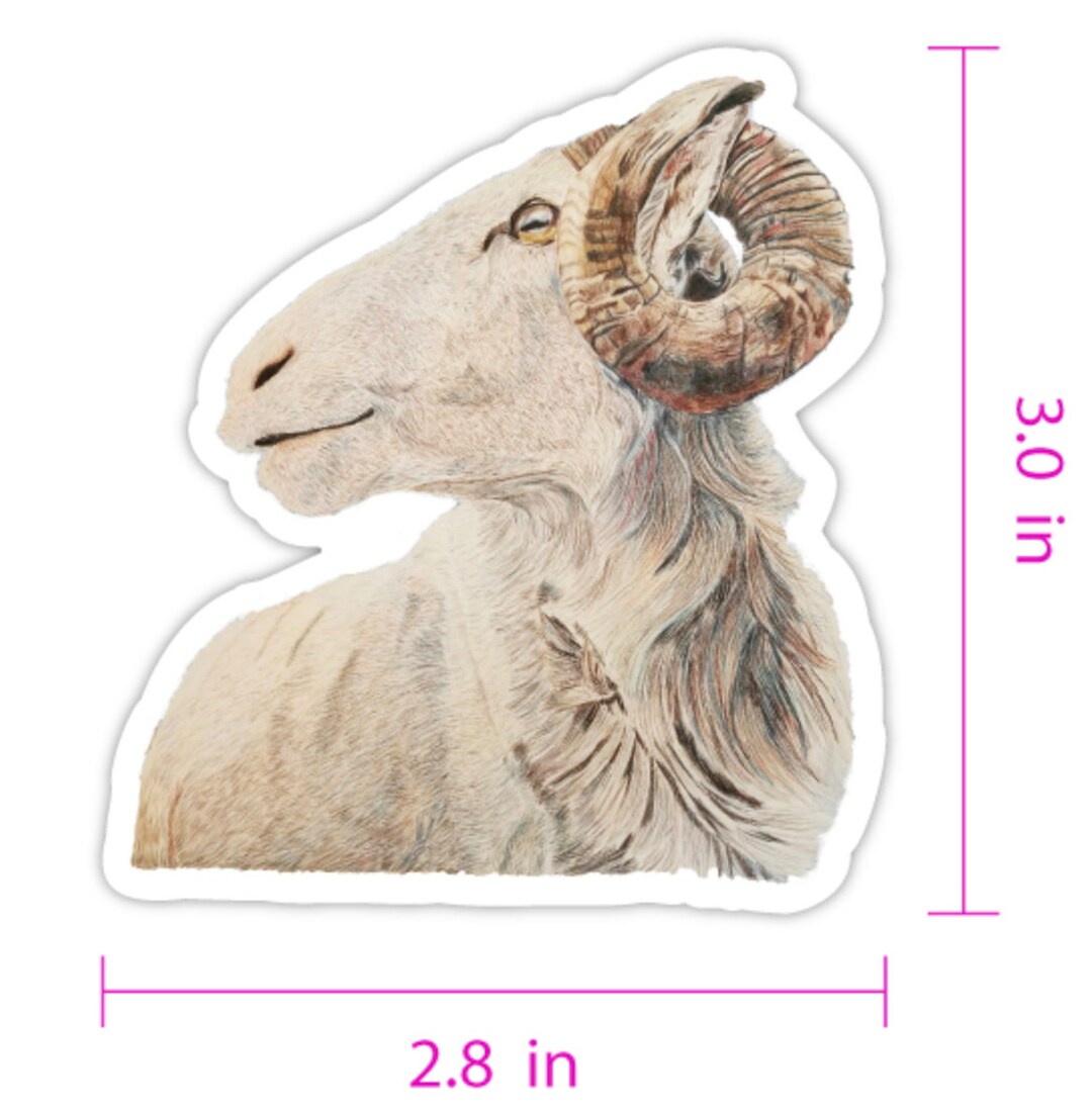 Sticker - Ram - Etsy