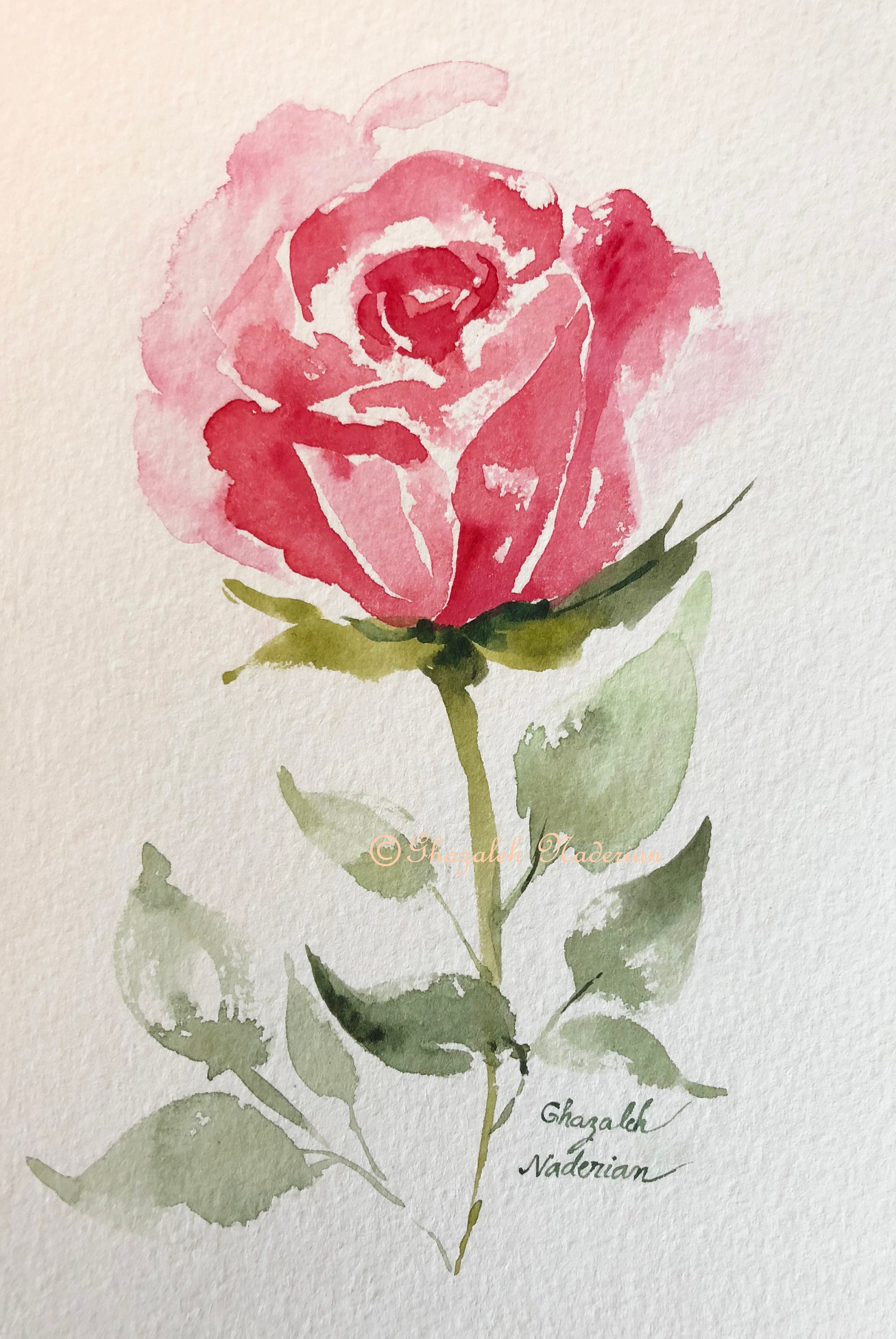 Simple Rose Watercolor Painting
