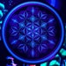 Magic Purple & Blue Flower of Life String Artpsychedelic Uv - Etsy