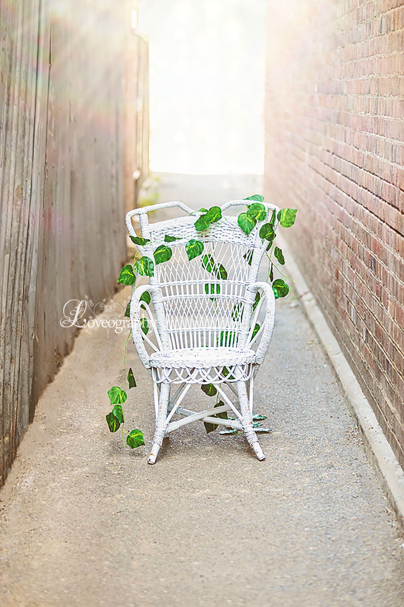 TWO Digital Backdrops Images Insert Child Newborn Adult Animal | Etsy