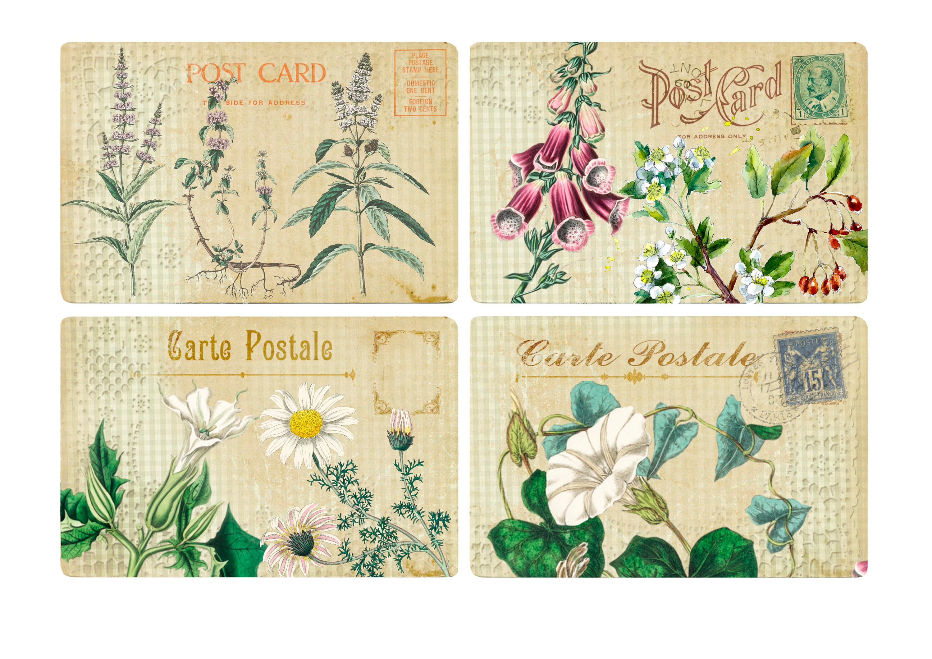 Herbal Botanical Junk Journal Printable Kit Herbal Remedies - Etsy