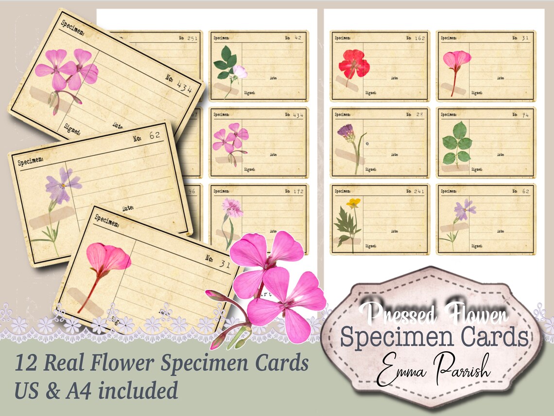 Pressed Flowers Printable Specimen Cards Junk Journal | Etsy