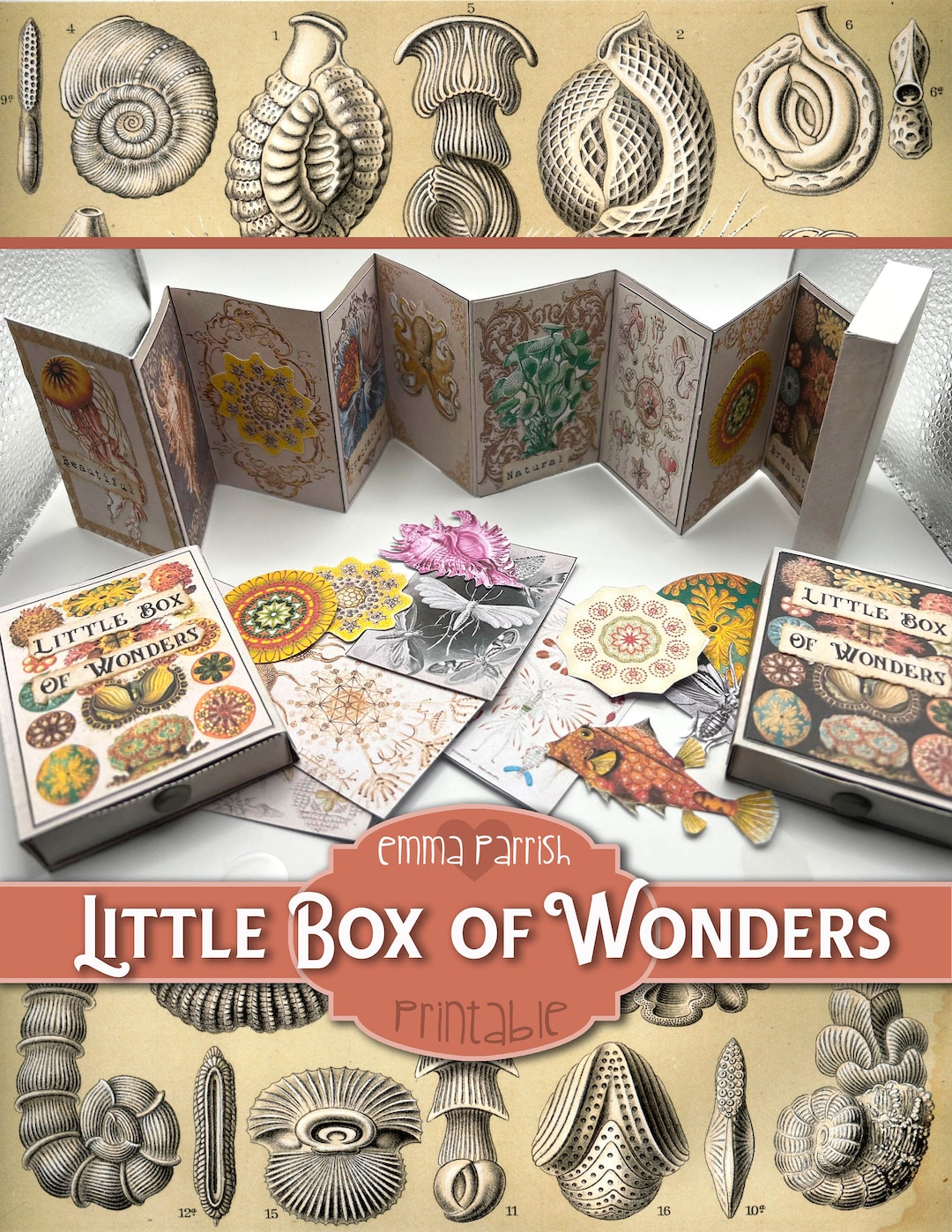 Ernst Haeckel Nature Mini Journal Kit, Science Printable Matchbox ...