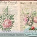 Shabby Roses Printable Paper, Vintage Junk Journal Pages, Shabby Chic ...