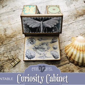 Curiosity Cabinet Printable Journal Kit, Folding, Pop Up, Ernst Haeckel ...