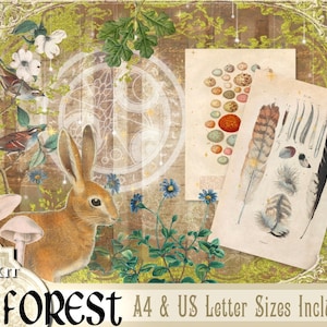 Enchanted Forest Junk Journal Kit, Nature Journal, Woodland Animals ...