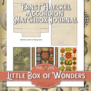 Ernst Haeckel Nature Mini Journal Kit, Science Printable Matchbox ...