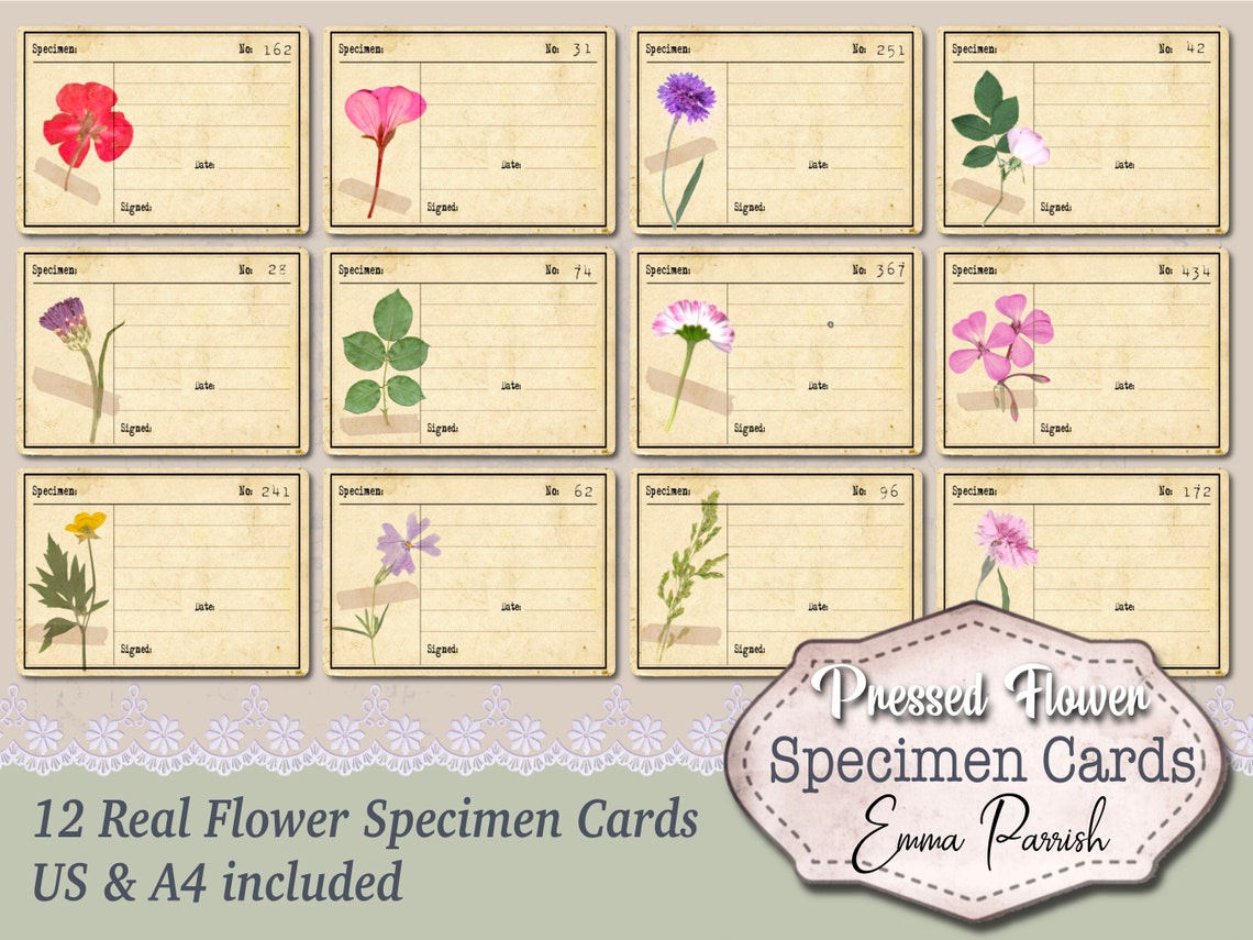 Pressed Flowers Printable Specimen Cards Junk Journal - Etsy