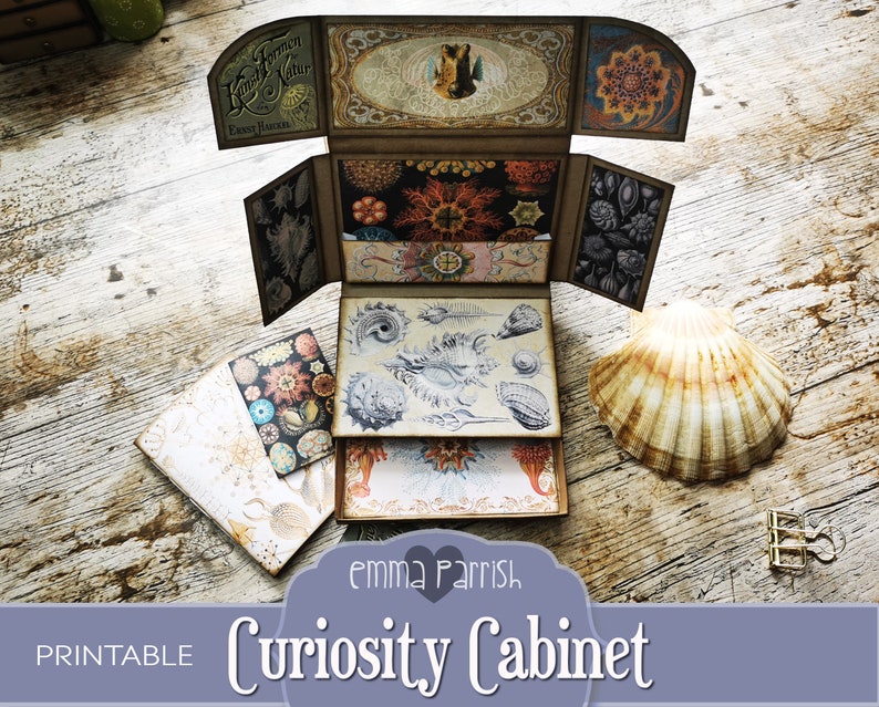 Curiosity Cabinet Printable Journal Kit, Folding, Pop Up, Ernst Haeckel ...