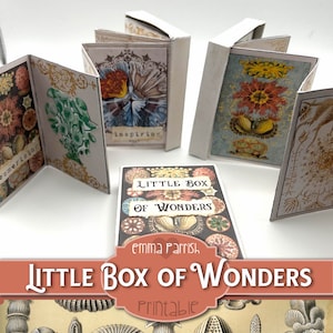Ernst Haeckel Nature Mini Journal Kit, Science Printable Matchbox ...