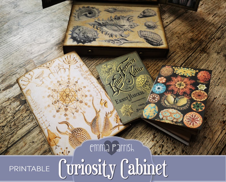 Curiosity Cabinet Printable Journal Kit, Folding, Pop Up, Ernst Haeckel ...