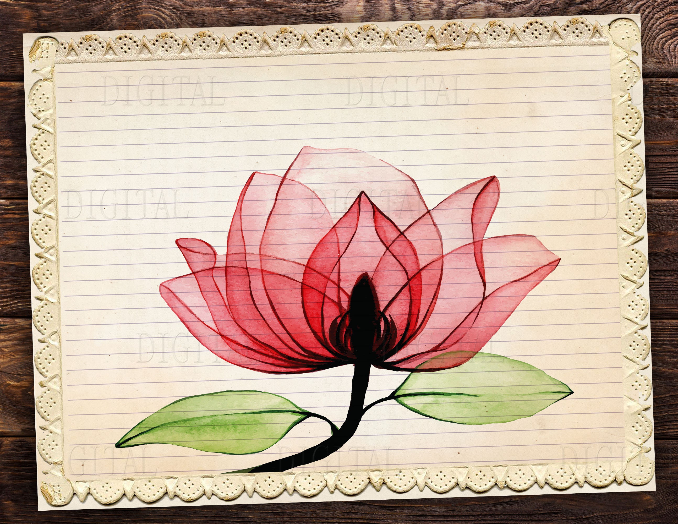 Printable Lined Paper Download 16 Poppy Flower Lined & Blank - Etsy