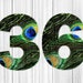 Peacock Numbers Digital Numbers PNG - Etsy