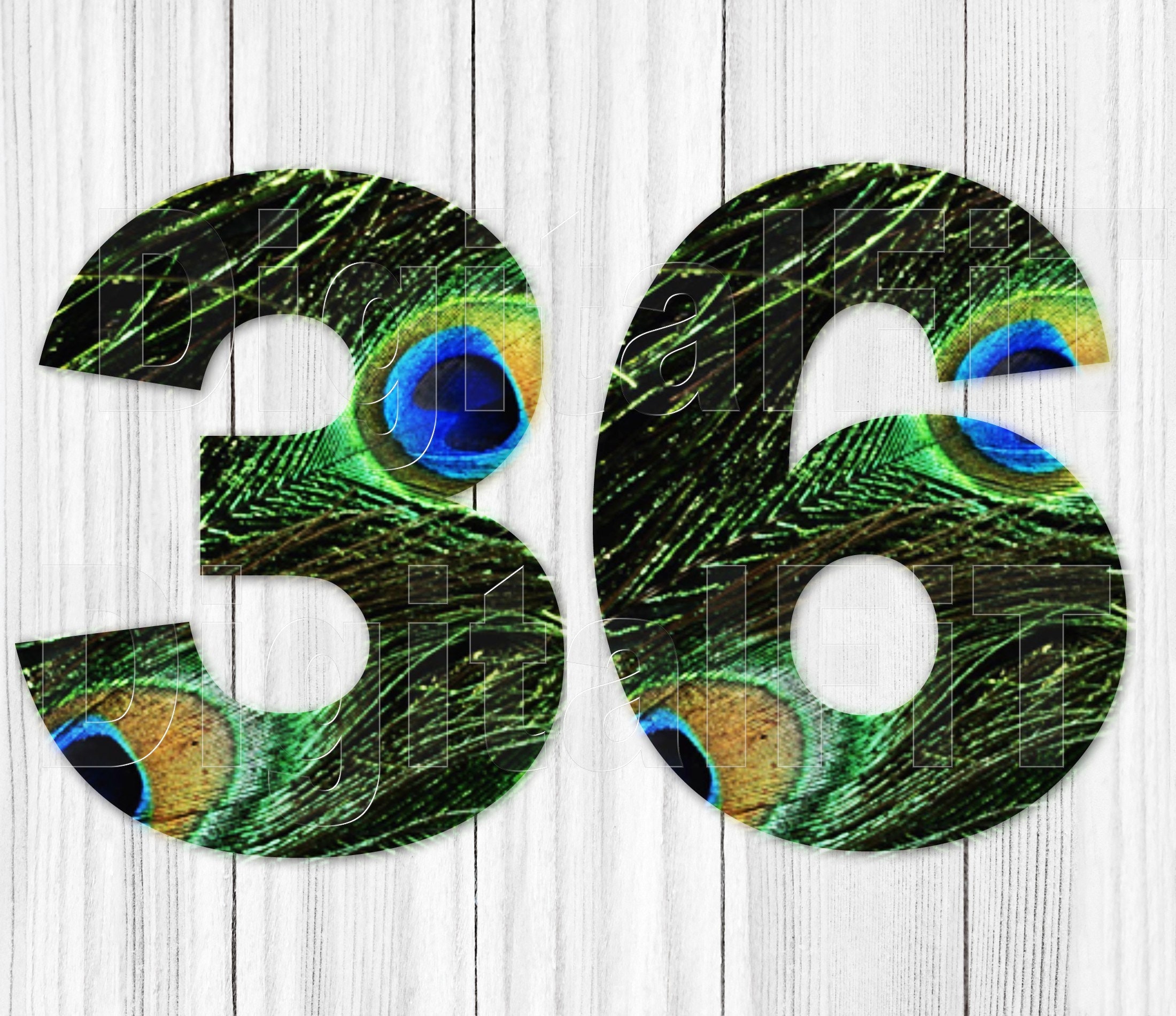 Peacock Numbers Digital Numbers PNG - Etsy
