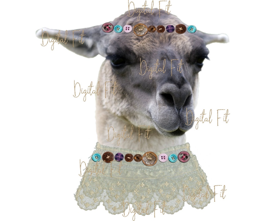 Fancy Crafty Lama PNG Digital File Clipart Instant Download Sublimation ...