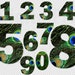 Peacock Numbers Digital Numbers PNG - Etsy