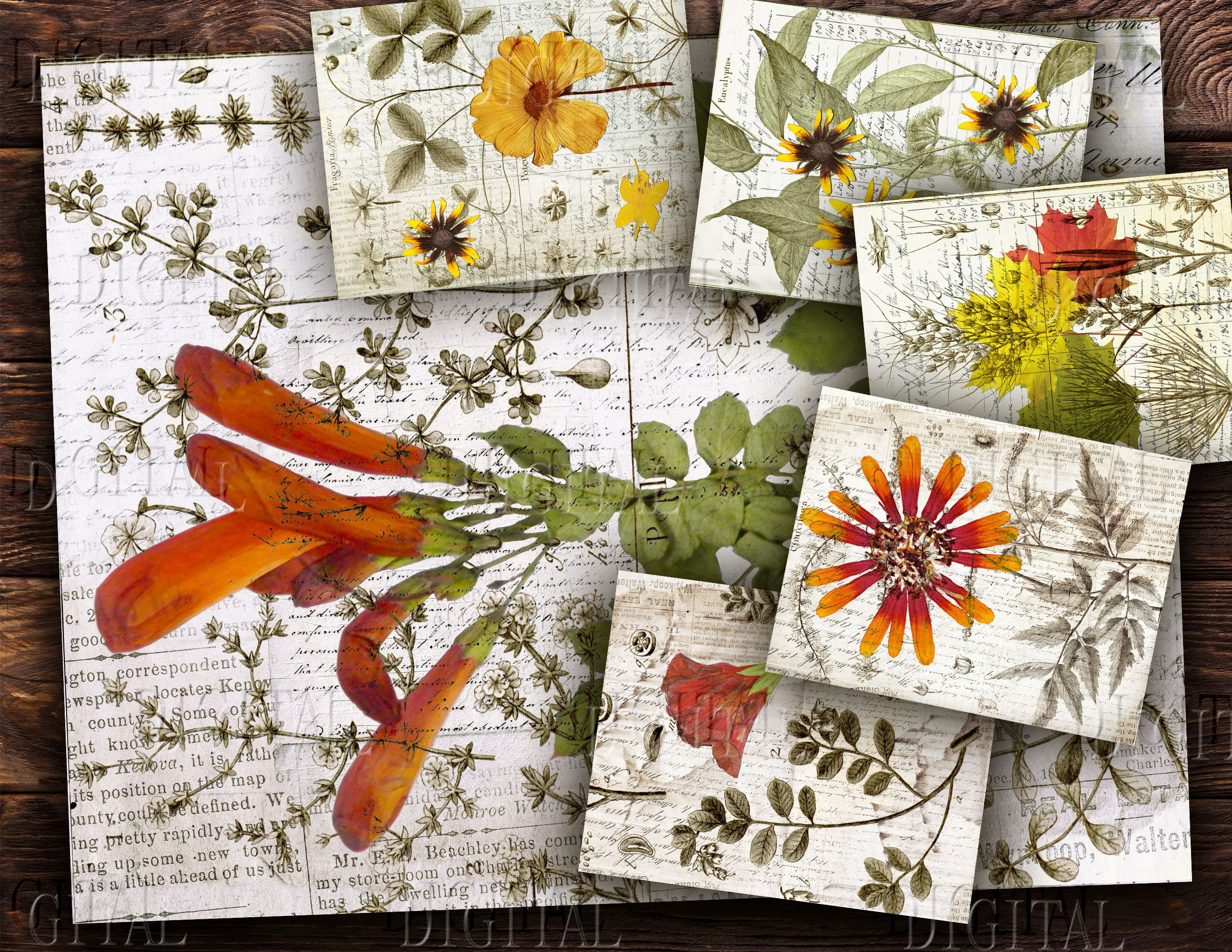Scrapbook Pages Dried Wildflowers Botanical Print Set - Etsy