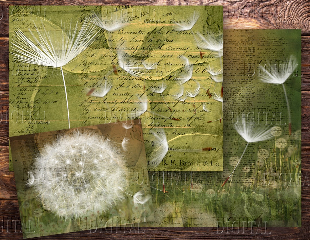 Dandelions Junk Journal: Wildflower Field, 10 Printable Pages (PDF) - Etsy