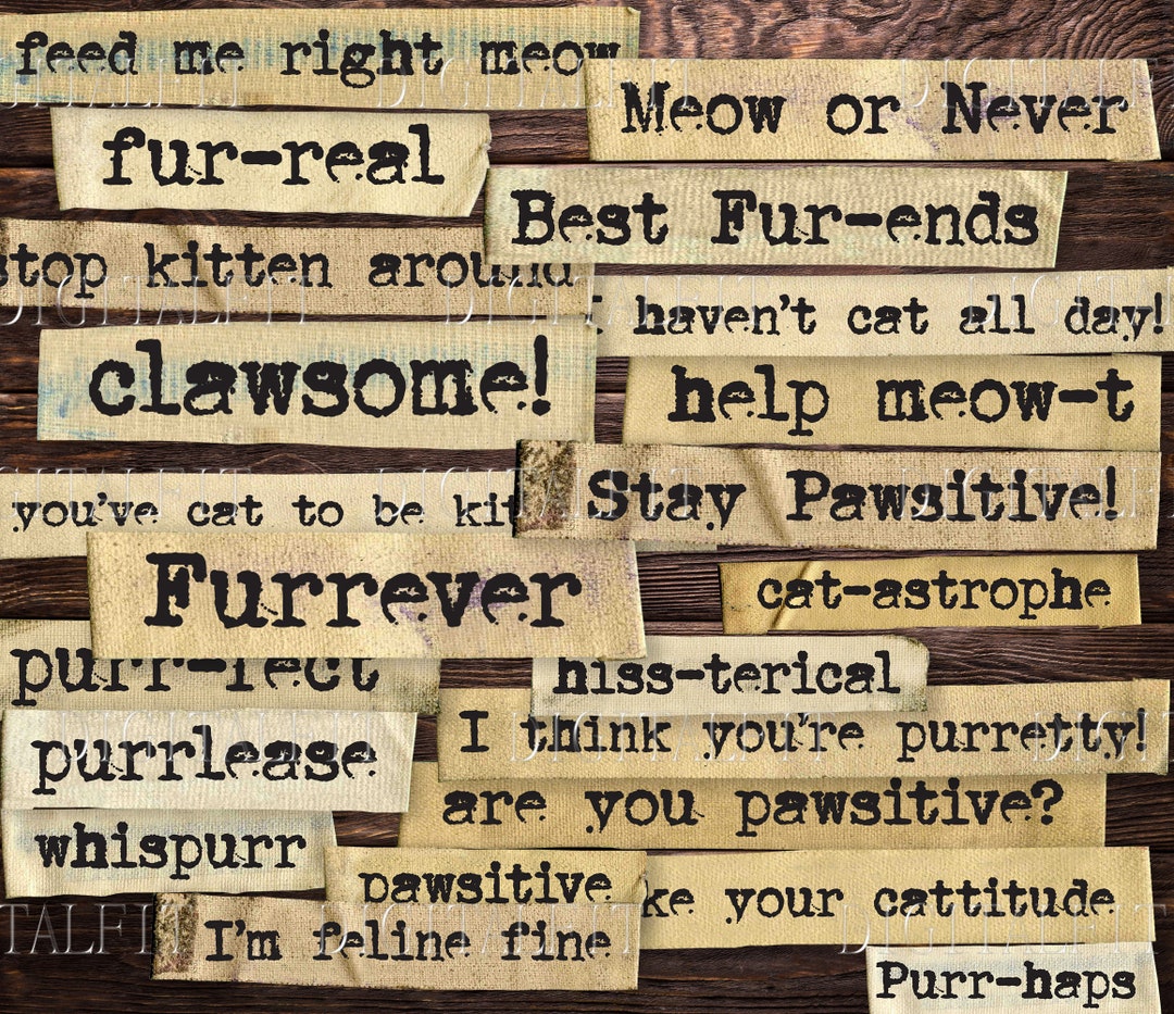 Cats Vocabulary Words & Funny Phrases, Cat Lover Gift, Cat Junk Journal ...