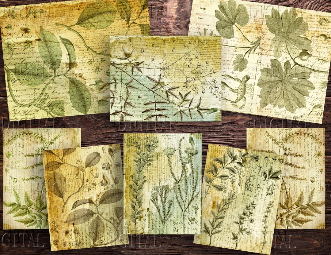 Botanical Junk Journal Printable, 14 Vintage Scrapbooking Pages, Plants ...