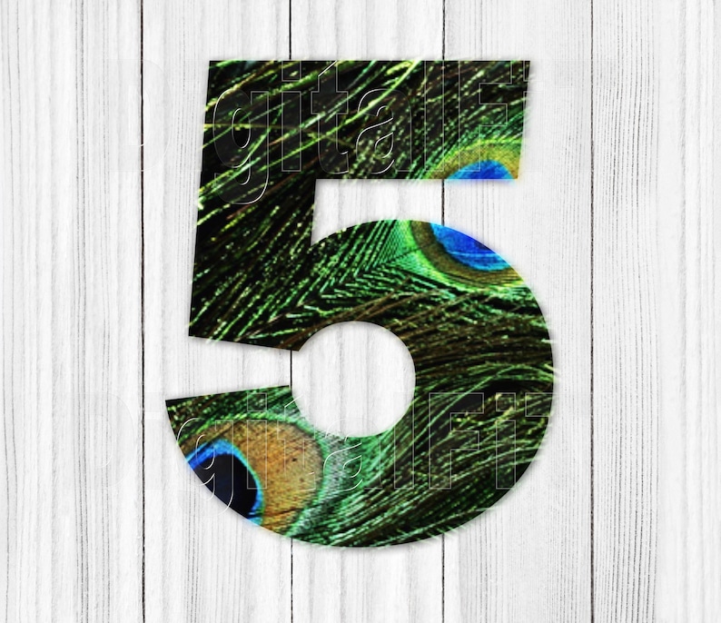 Peacock Numbers Digital Numbers PNG | Etsy