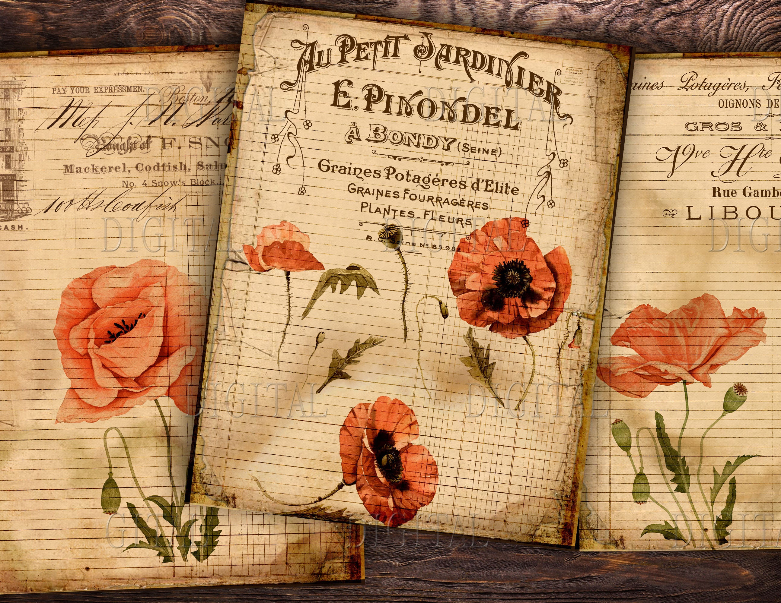 Poppy Flower Printable Ledger Pages, 8 Poppy Flowers Art Spring Collage ...