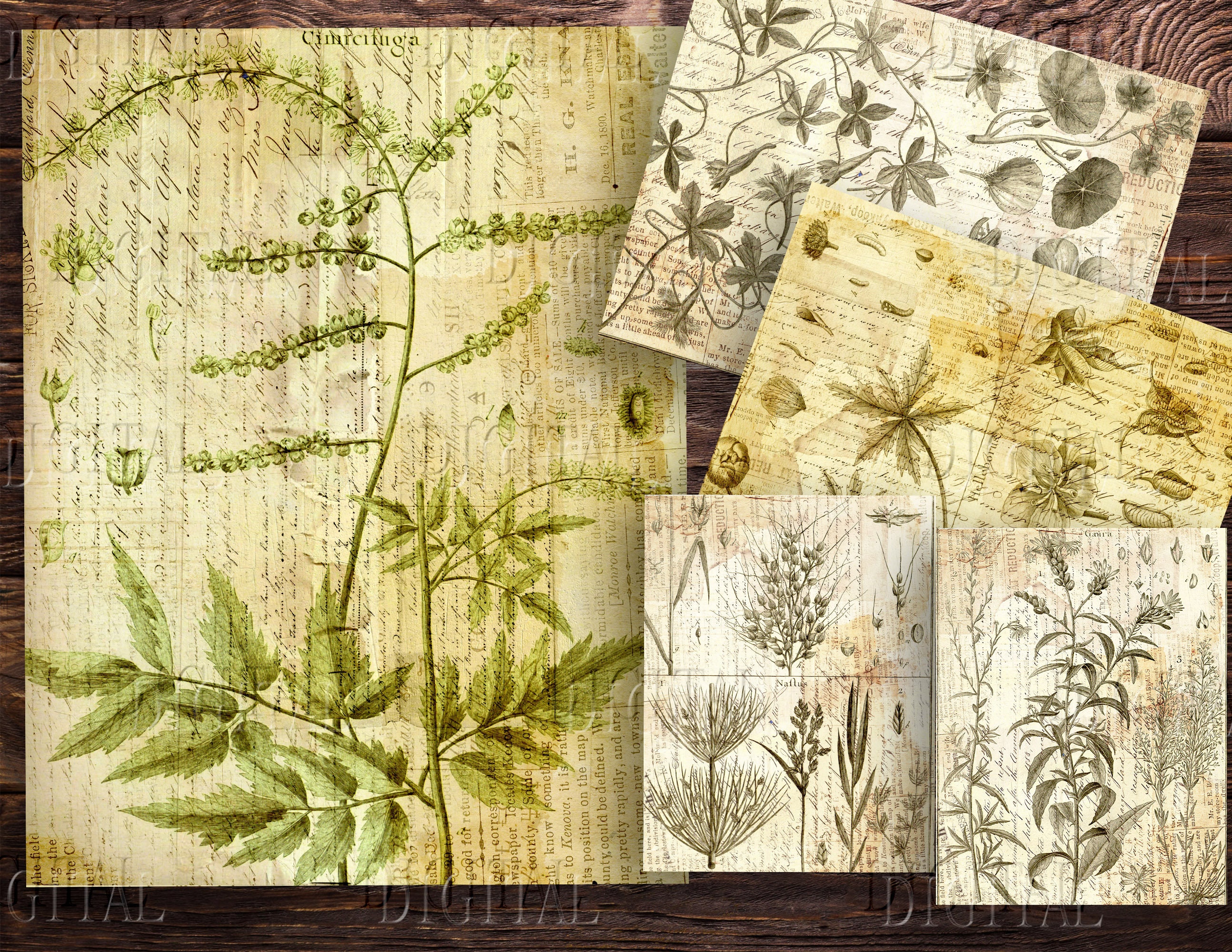 Botanical Junk Journal Printable 14 Vintage Scrapbooking - Etsy