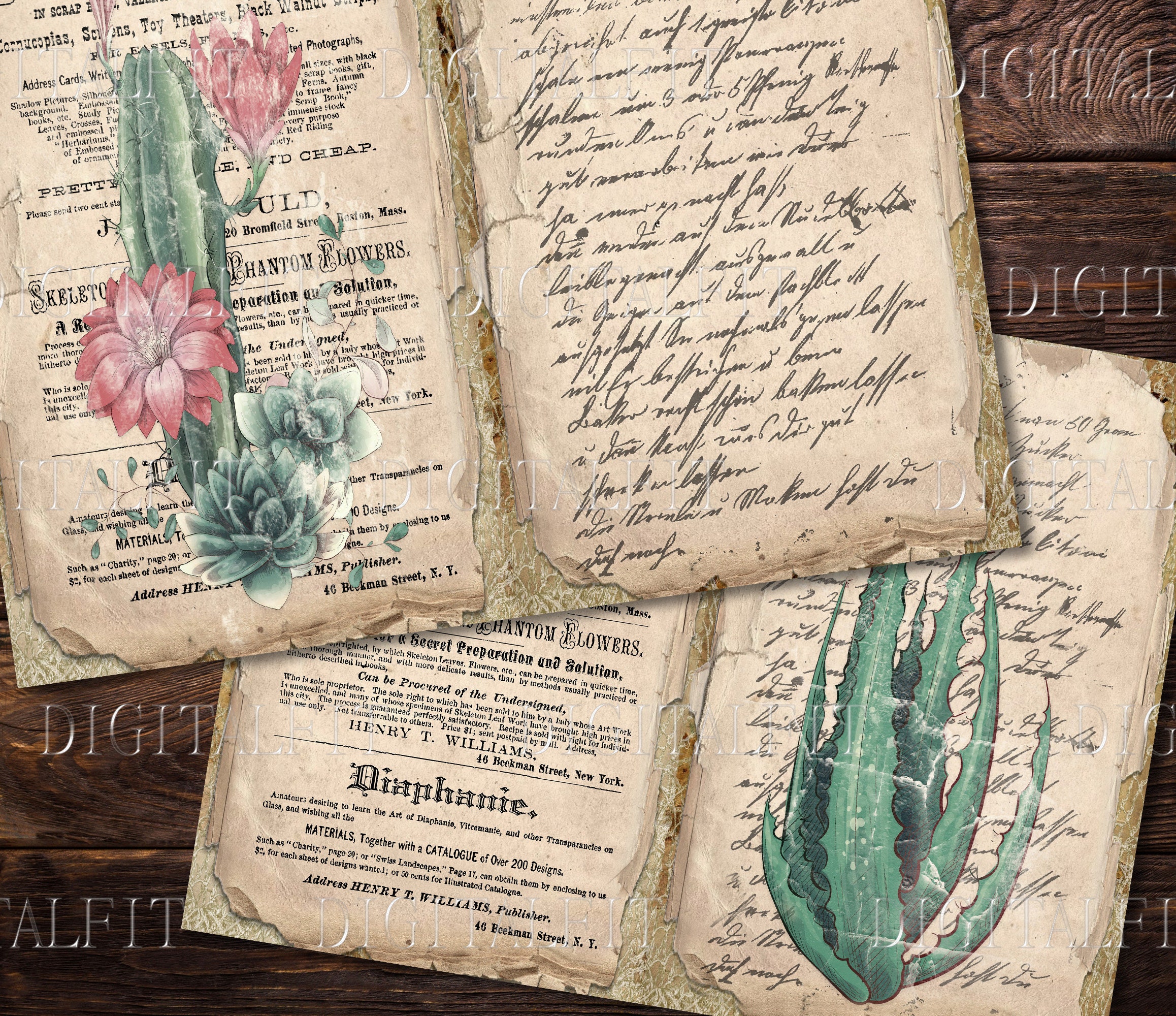 Cactus Journal Cards & Cactus Junk Journal Pages Printable | Etsy