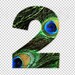 Peacock Numbers Digital Numbers PNG - Etsy